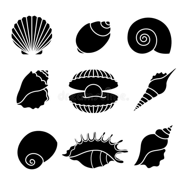 Sea Shell Silhouettes Stock Illustrations – 660 Sea Shell Silhouettes ...