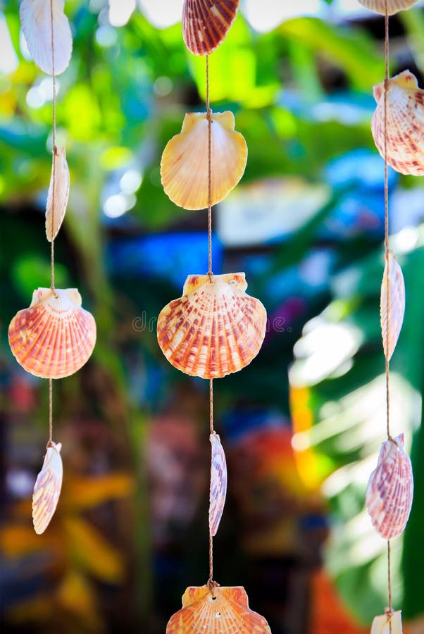 Sea shells souvenirs stock photo. Image of marketplace - 54770086