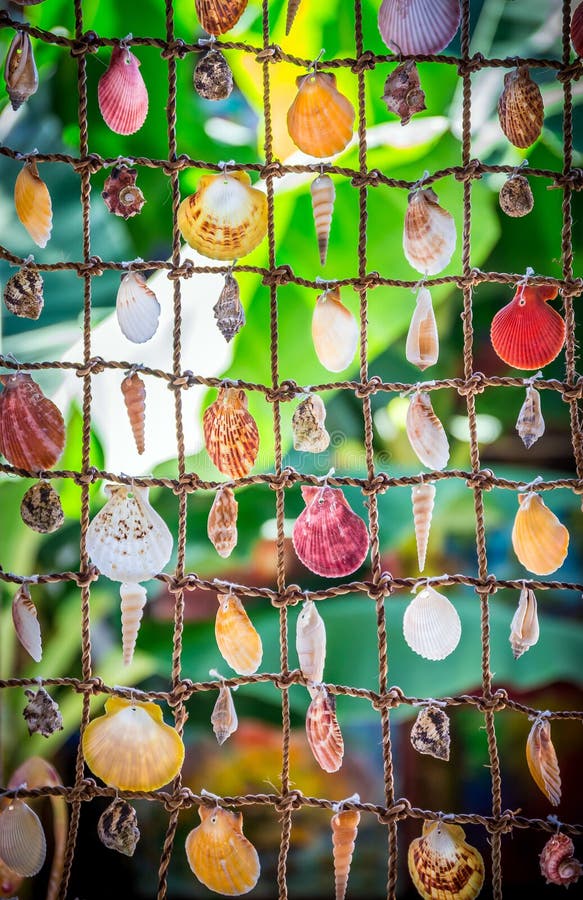 Sea shells souvenirs stock image. Image of dominicana - 64734555