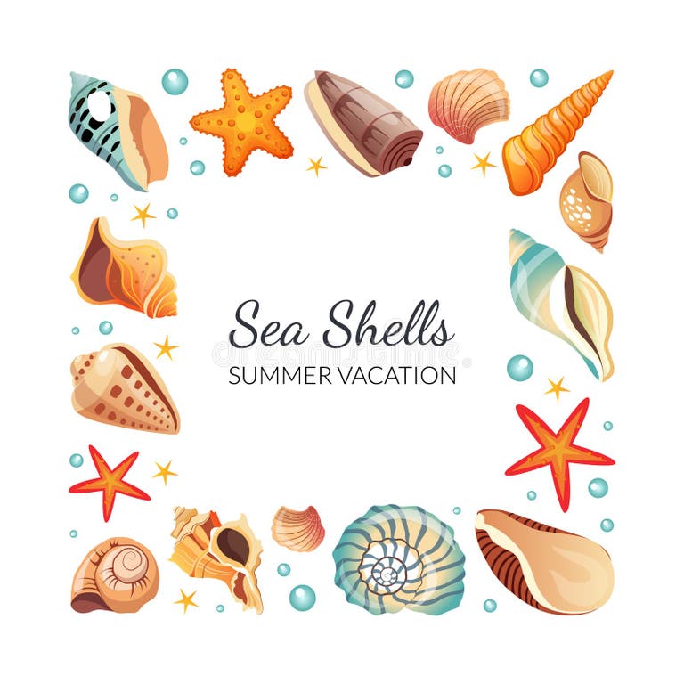 Sea Shells Frame Stock Illustrations – 4,570 Sea Shells Frame Stock ...