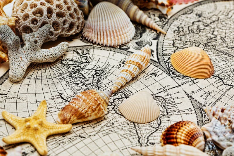 Sea Shells and Star Fish on the Vintage Map Stock Image - Image of ...