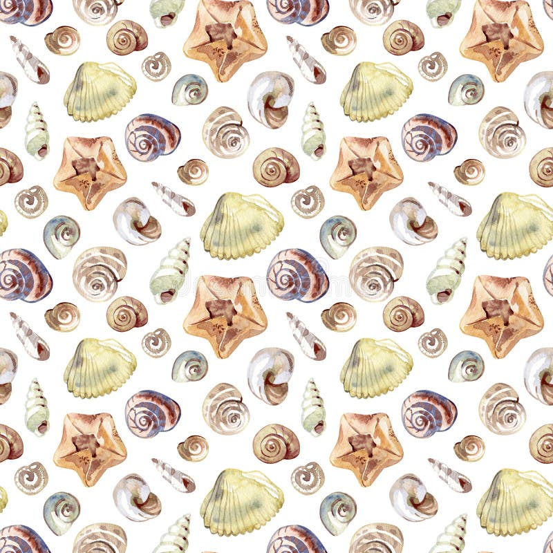 Sea Shells and Starfish Watercolor Seamless Pattern. Stock Illustration ...