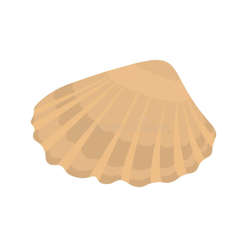 Sea Shells and Stars Collection. Marine Vector Illustration of Ocean ...