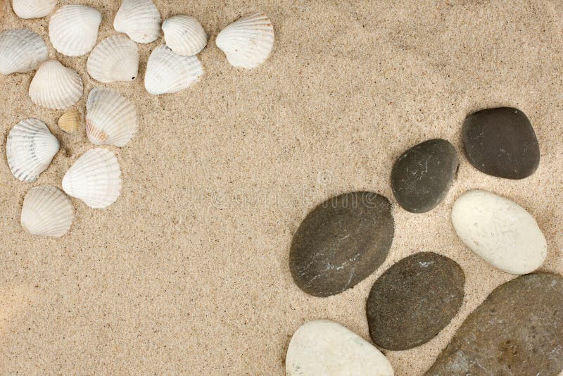 Sea shells,stones stock image. Image of coast, sand, fragile - 25874455