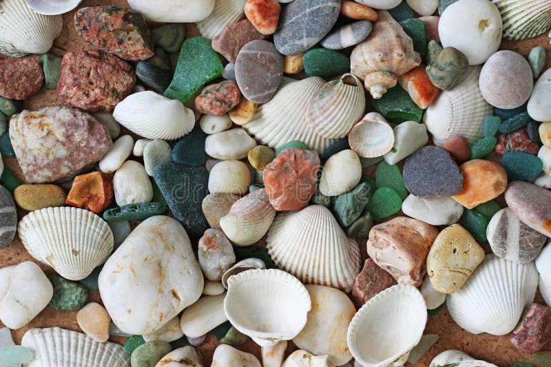 Sea shells and stones stock photo. Image of light, single - 50303708
