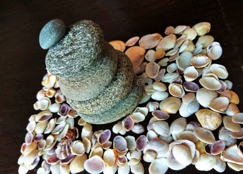 Sea shells and stones stock image. Image of size, shells - 89884567