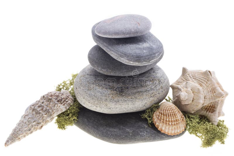 Sea Shells on the Stones Tower Stock Photo - Image of gray, organism ...