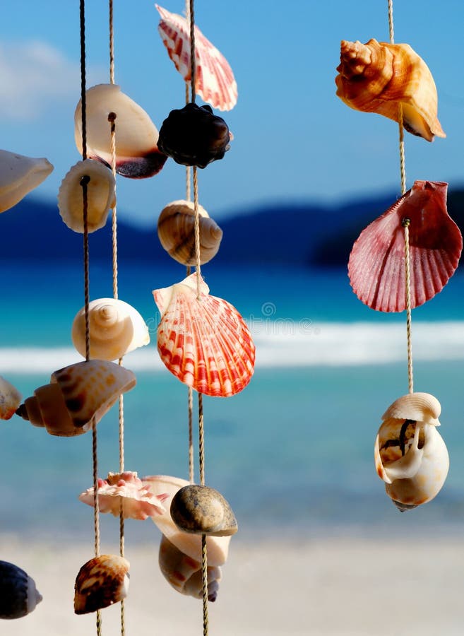 Sea Shells Summer Vacation Leisure Concept Stock Photo - Image of multi ...