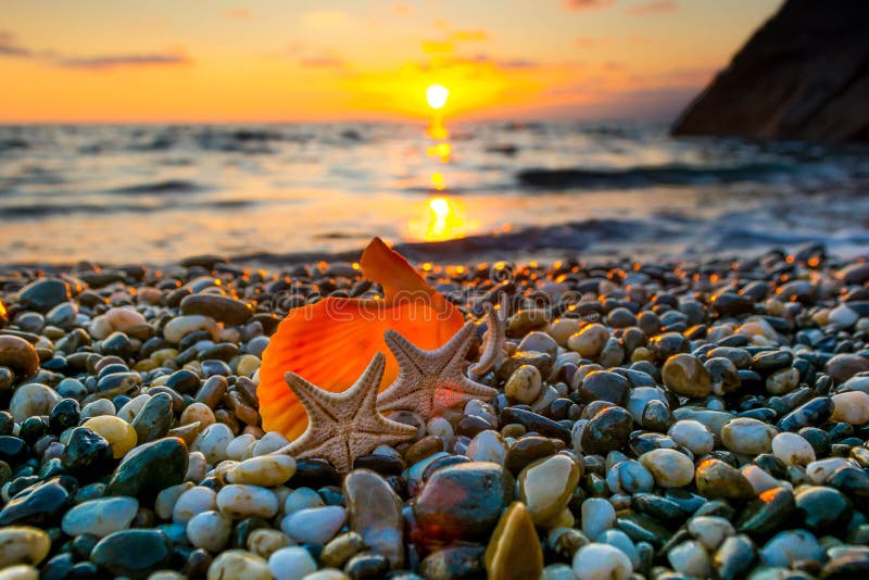 Sea shells at sunset stock photo. Image of blue, shells - 153930026