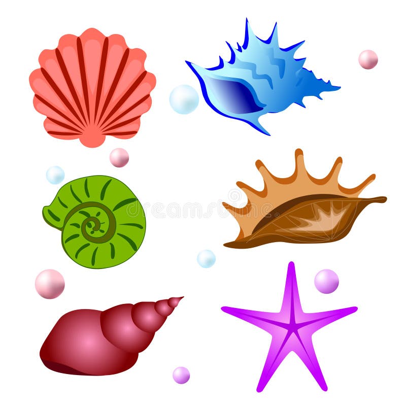 Sea Shells Symbols Collection. Vector Set Stock Vector - Illustration ...