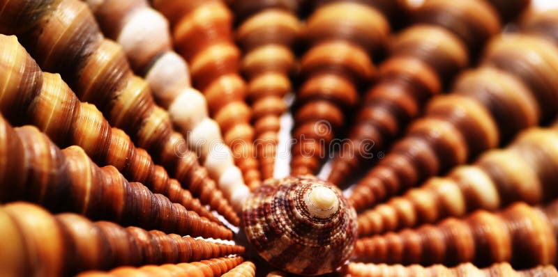 Sea symmetry stock image. Image of landscape, flood, line - 61619757