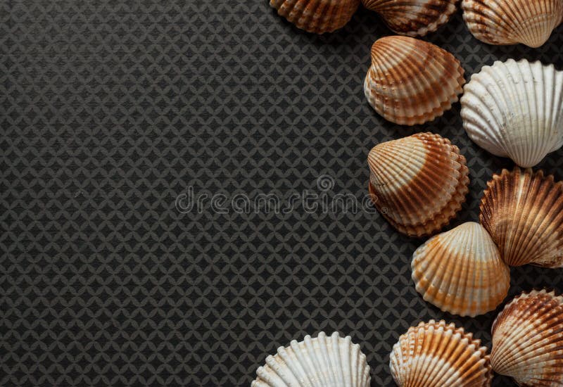 Sea Shells and Travel Notes Stock Photo - Image of frame, starfish ...