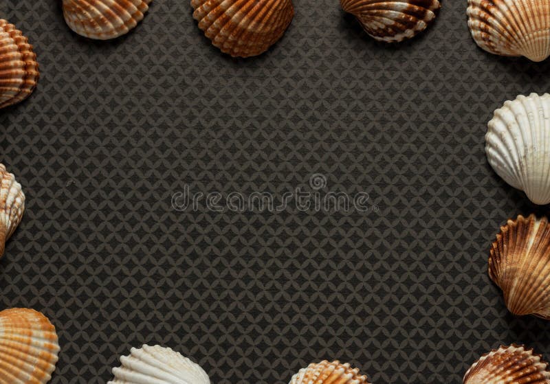 Sea Shells and Travel Notes Stock Photo - Image of closeup, summer ...