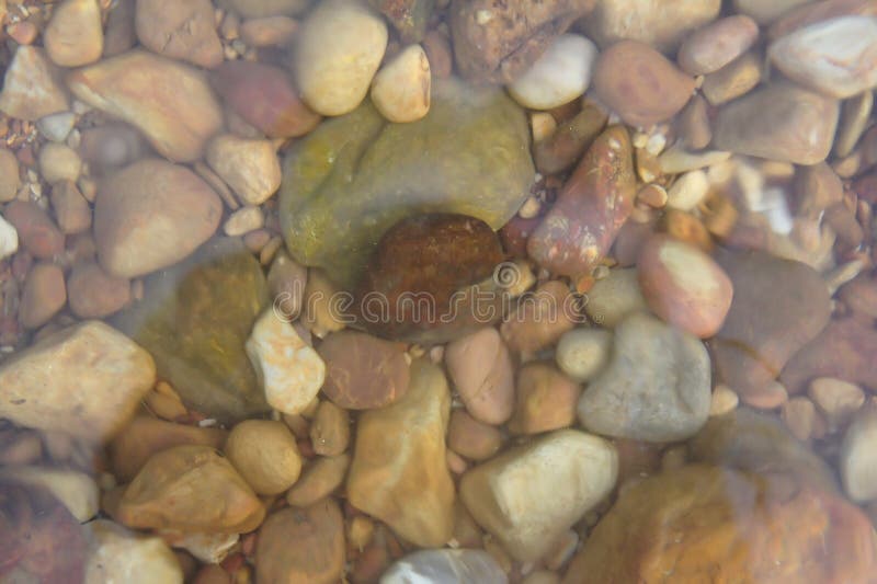 Sea Shells Under the Water Beneath the Rocks Stock Image - Image of ...