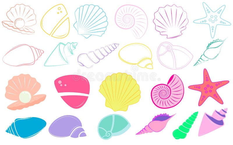 Sea shells vector stock vector. Illustration of vector - 220209473
