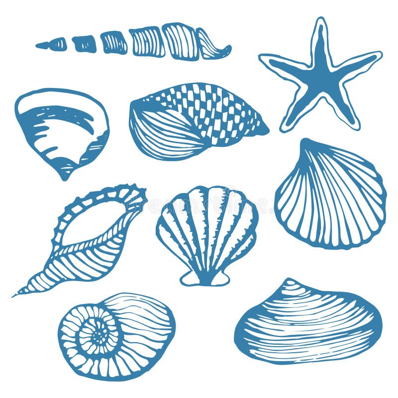 Clipart Shells