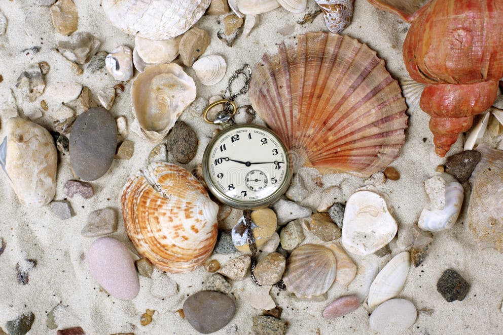 Sea Shells and Vintage Clock on Sand Stock Photo - Image of border ...