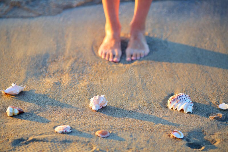 Sea Shells and Woman Legs in the Sand on the Beach Stock Photo - Image ...