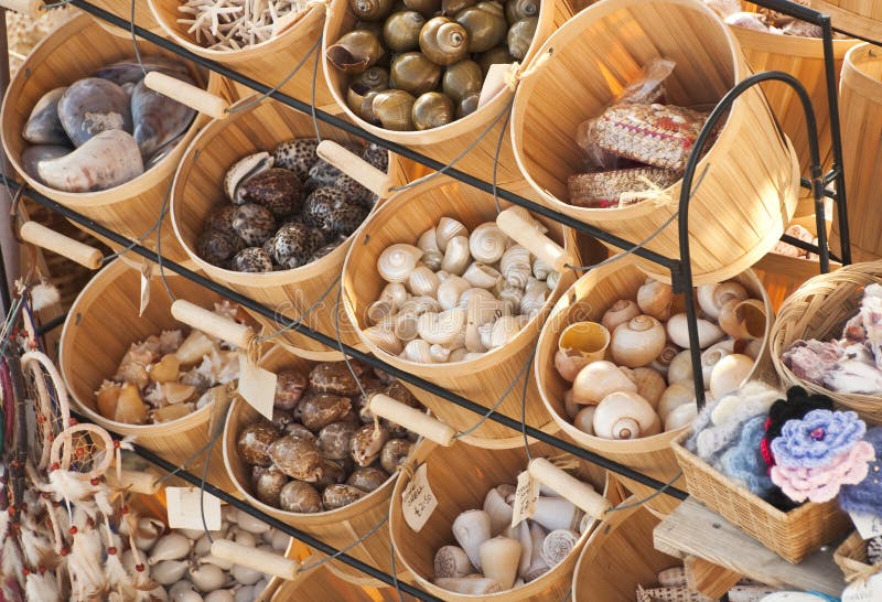 Sea shelves stock image. Image of sell, marine, beautiful - 22333349