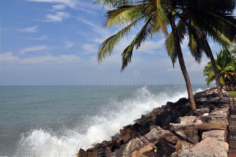Sea shore stock image. Image of shore, pure, natural - 22325031
