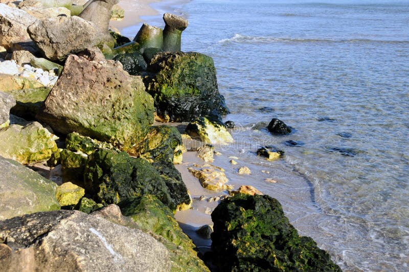 Sea shore stock photo. Image of summer, tropical, landscape - 4484426