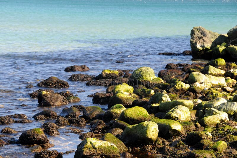 Sea shore stock photo. Image of marine, peninsula, offing - 4485000