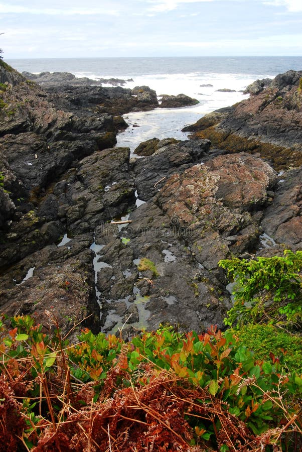 Foggy coast of Maine stock image. Image of crashing, cliffs - 968385