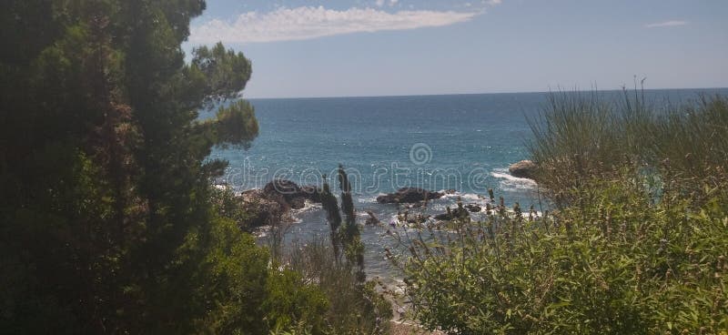 Sea shore bay water stock photo. Image of tree, tower - 243184066