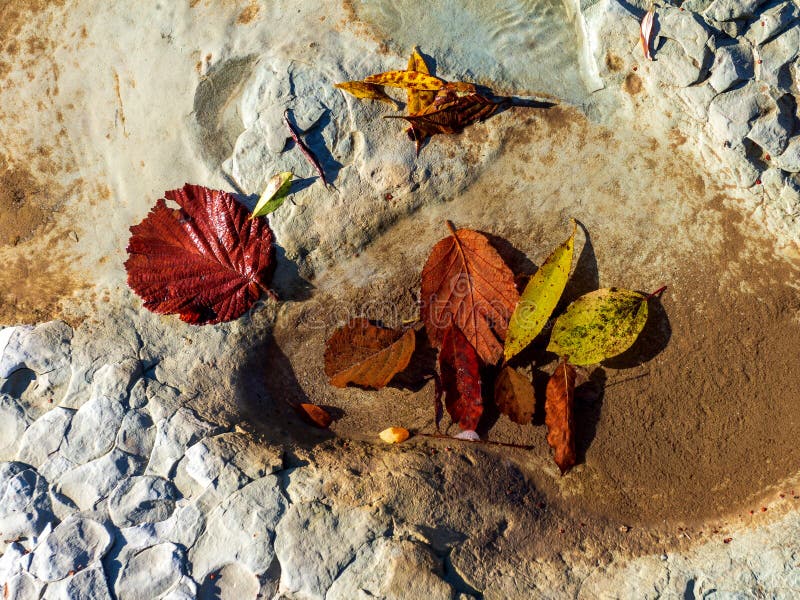 The Sea Shore, in a Calm State, a Small Tide and a Small Wave with ...
