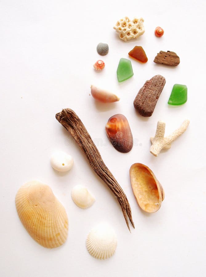 Sea shore items collection stock image. Image of item - 29683425