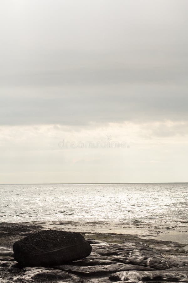 Sea Shore Vertical Background Stock Photo - Image of brown, life: 54564640