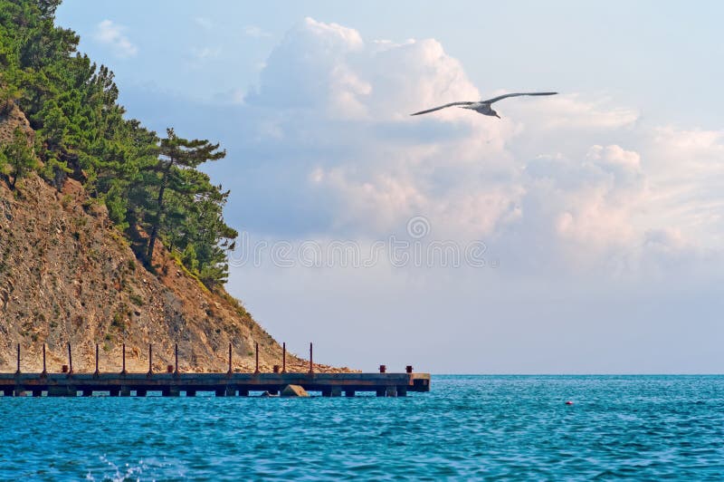 Sea shore view stock image. Image of rocks, nature, beach - 49007659