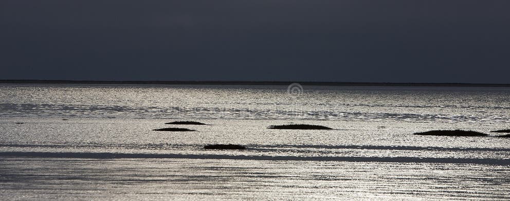 Sea Shore at Walvis Bay, Namibia Stock Image - Image of outdoor, coast ...
