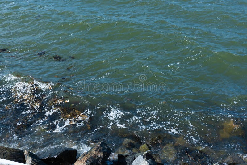 Sea Shore Waves in Late Spring.. Stock Image - Image of landscapes ...