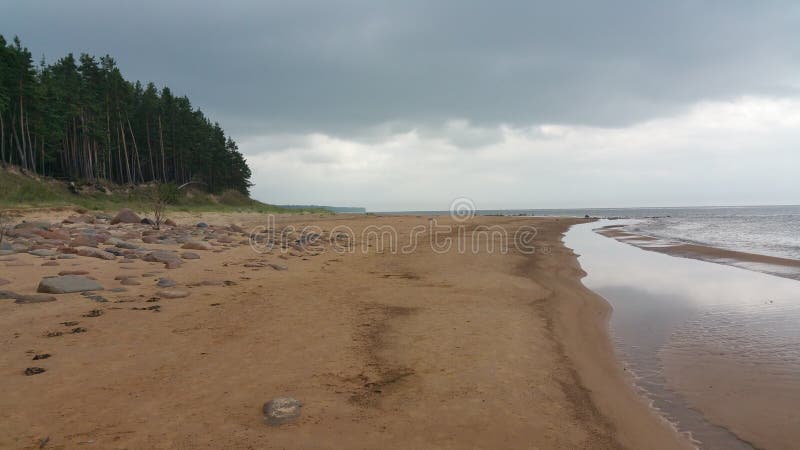 Sea shore stock photo. Image of nature, rock, wild, shore - 77189658