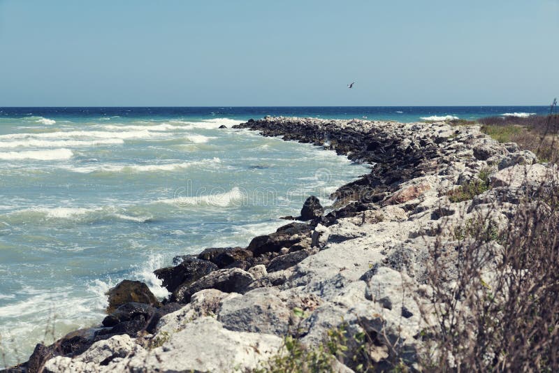 Sea Side Landscape Midday with Beautiful Waves Rocks and Gulls Stock ...