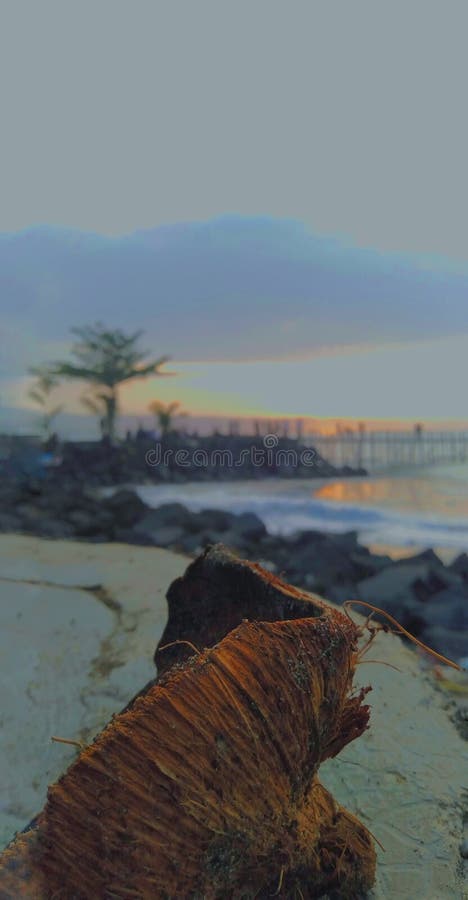 Sea side stock image. Image of side, random - 223779913