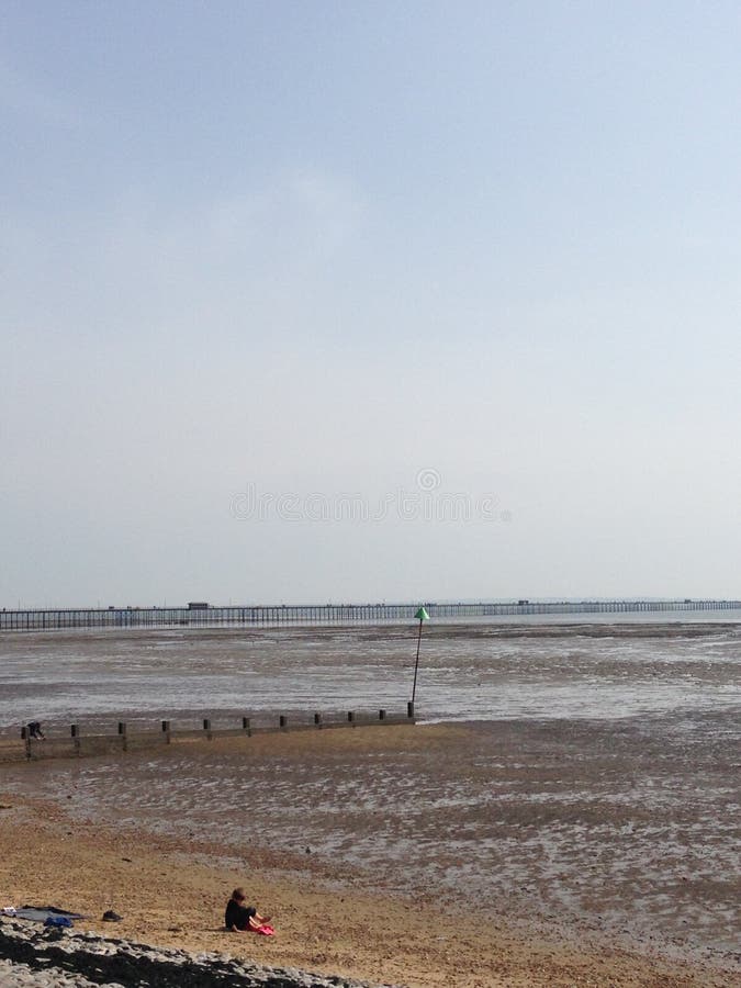 Sea side view stock image. Image of taking, forest, summer - 147227853