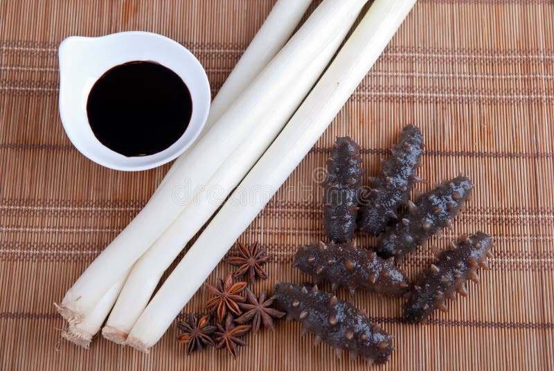 Sea slug soup stock image. Image of beverage, china, stew - 29459019