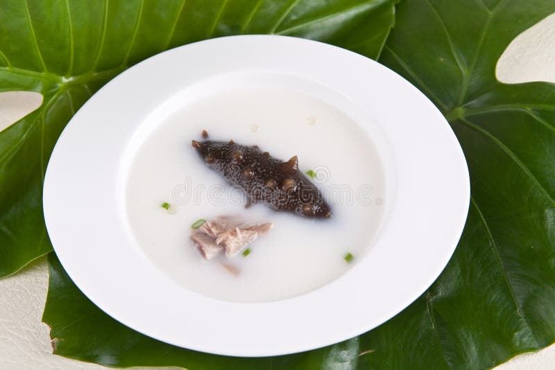 Sea slug and chicken soup stock image. Image of china - 18100637