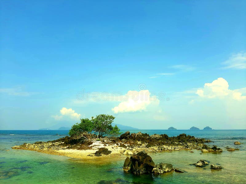 Sea small island stock photo. Image of beach, tree, island - 238835900