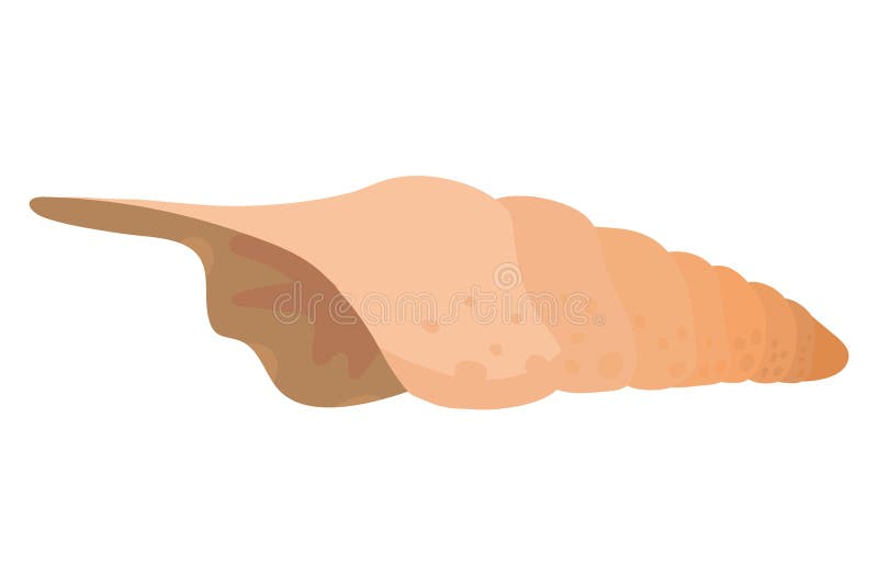 Sea snail shell stock illustration. Illustration of marine - 246691869