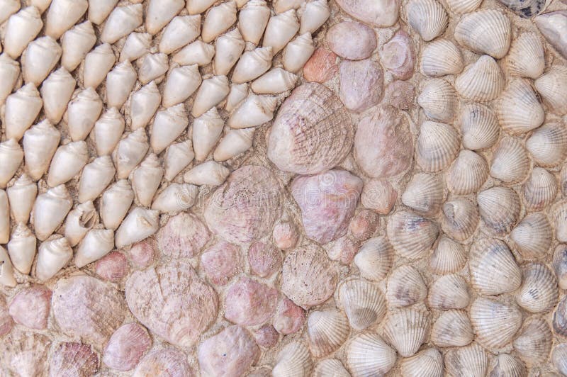 Sea Snail and Sea Shell Like Background Decoration in Cement House ...