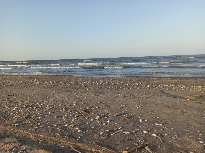 Sea Snails and Corel Reefs on Beach Stock Photo - Image of corel, wave ...