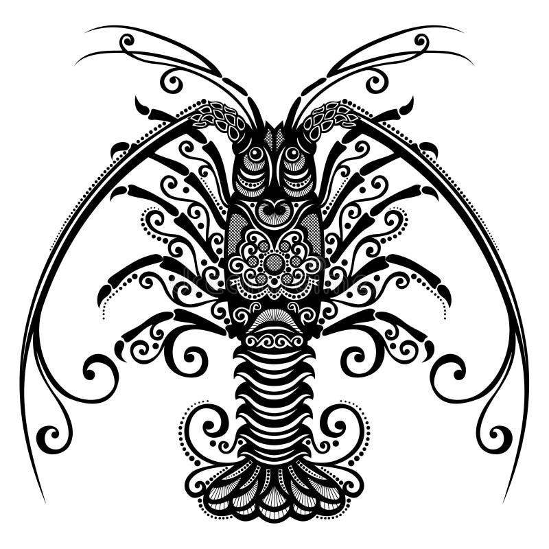 Sea spiny lobster stock vector. Illustration of design - 33885285
