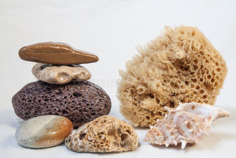 Sea Sponge for Bathing, Pumice, Sea Stones. Shell Stock Image - Image ...