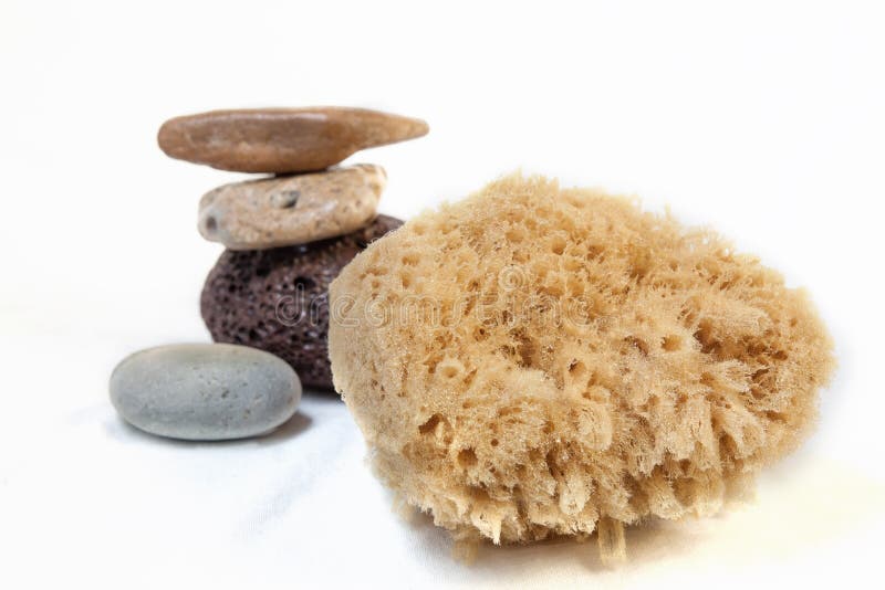 Sea Sponge for Bathing, Pumice, Sea Stones. Shell Stock Image - Image ...