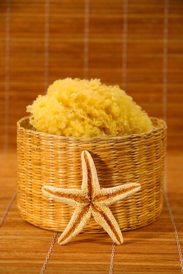 Sea sponge and starfish stock image. Image of aromatherapy - 1717151