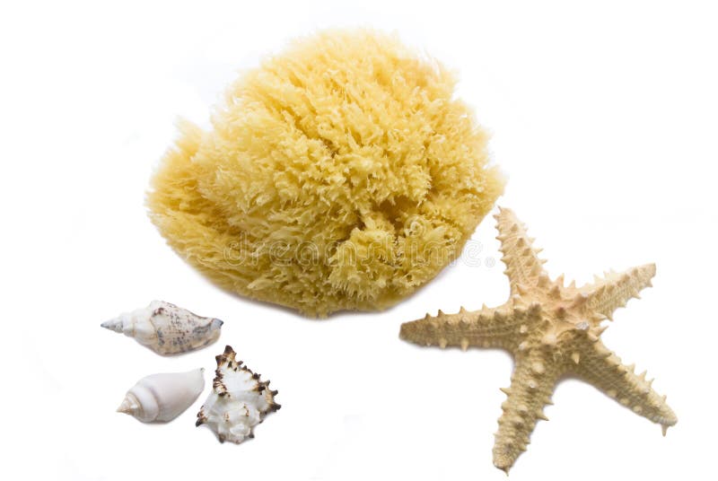 Collage for easter time stock photo. Image of plate, chicken - 28529162