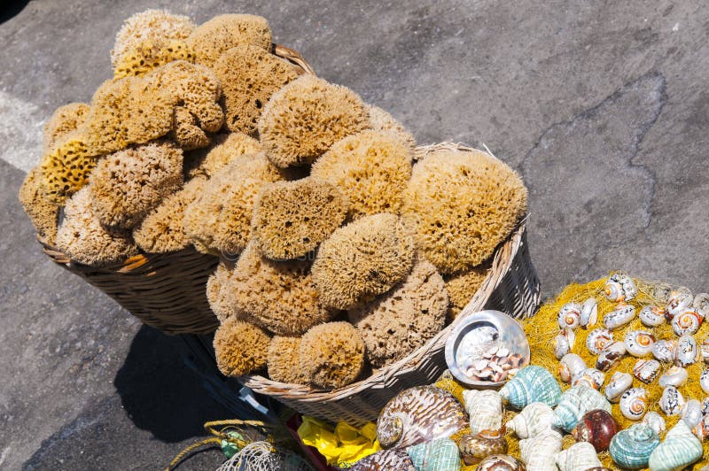 Sea sponges stock photo. Image of harbor, care, bathing - 47771402